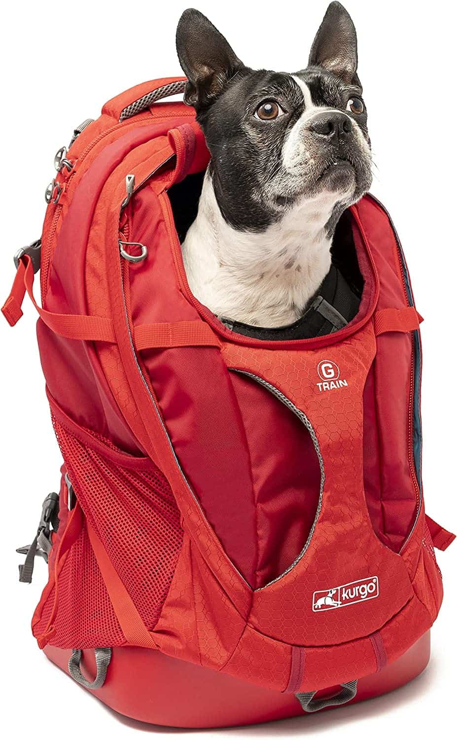 Wahl Eines Rucksacks Für Wanderhunde - Orientierungslauf